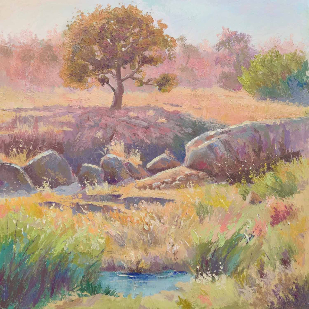 Tree of Shadow – Monda Gallery