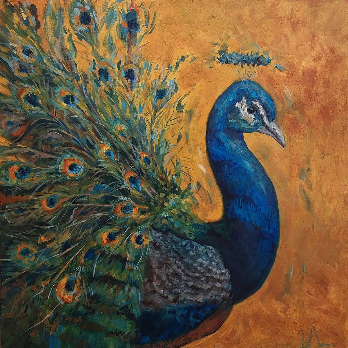 Cobalt Peacock – Monda Gallery