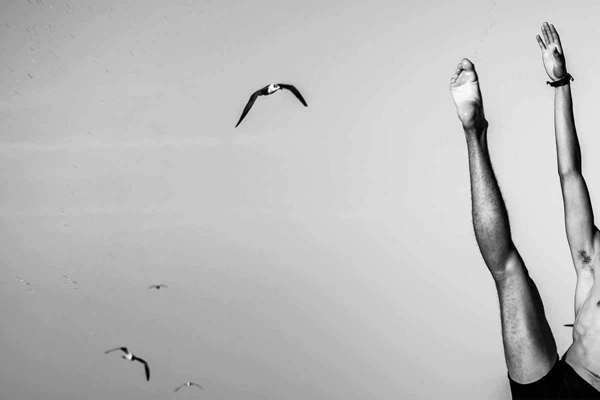 Fly Dance – Monda Gallery