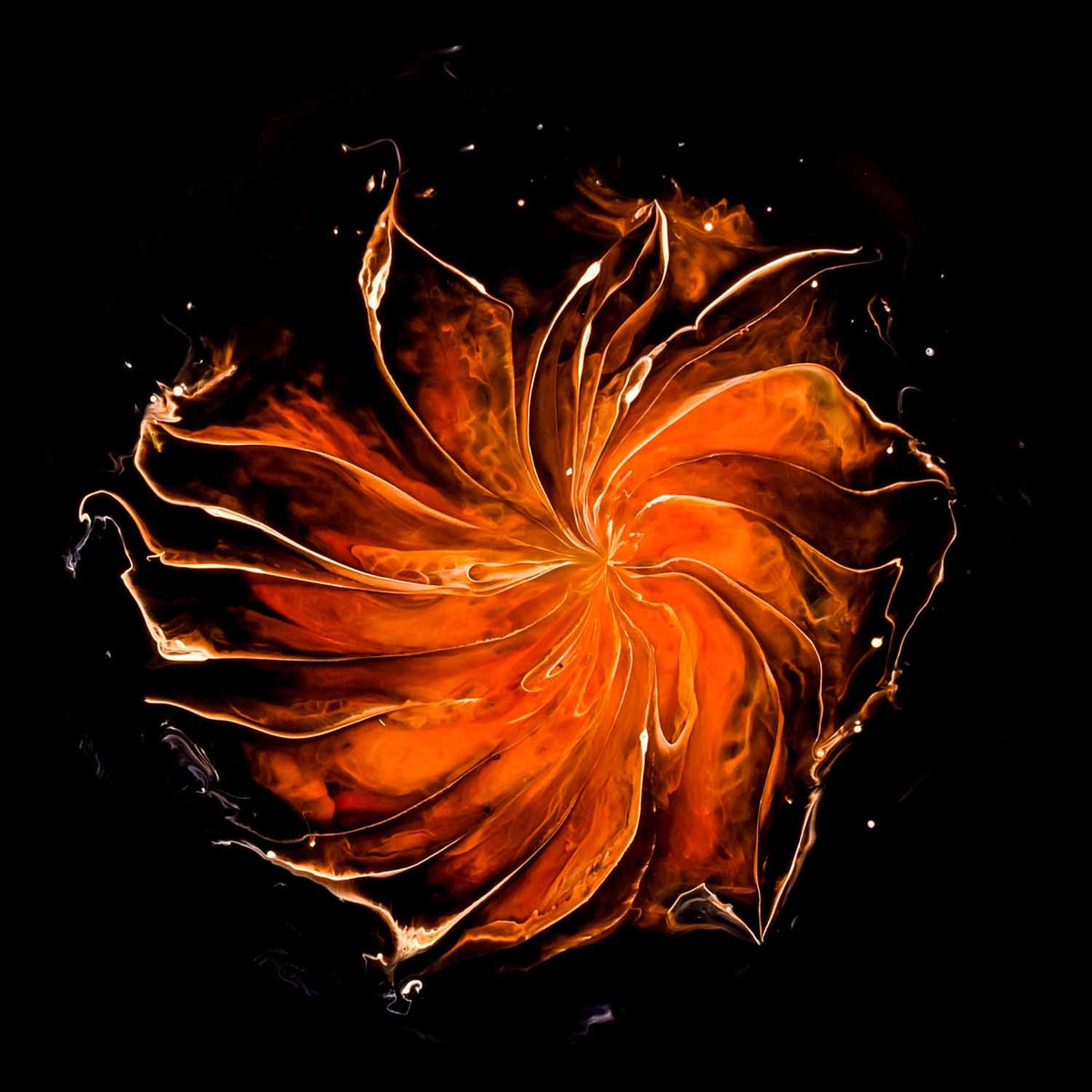 Burning Flower – Monda Gallery