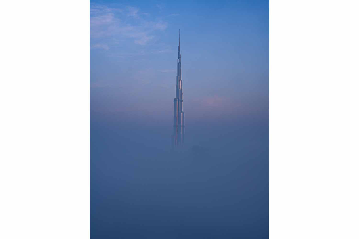 Dubai Frog – Monda Gallery