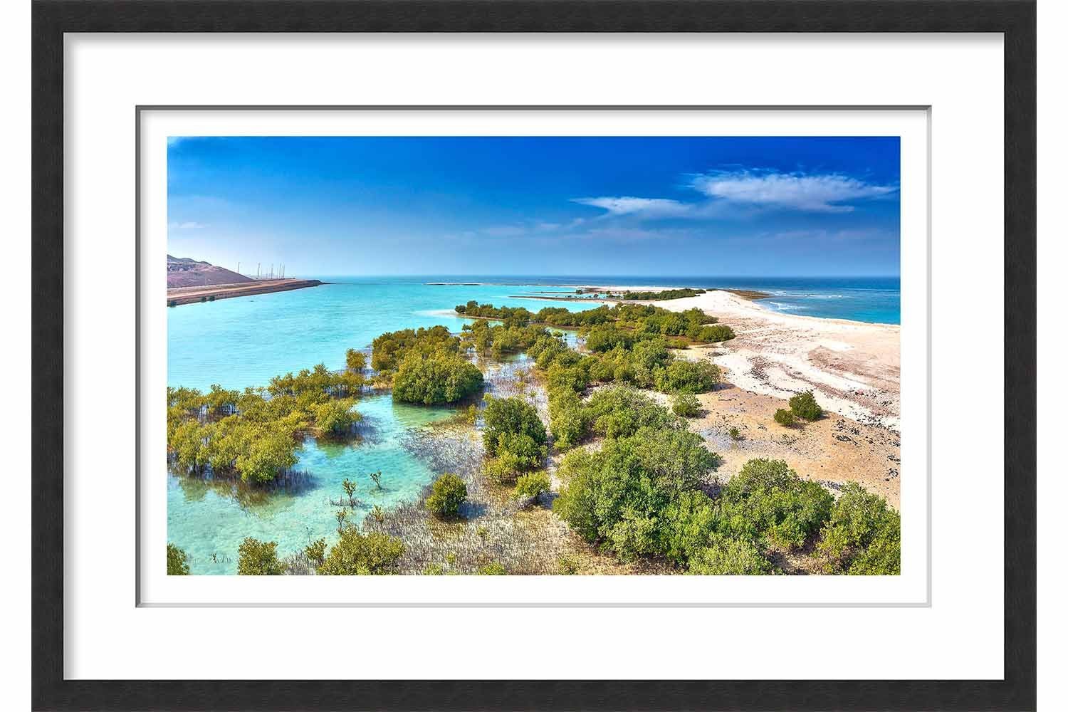 Mangroves of Delma Island – Monda Gallery