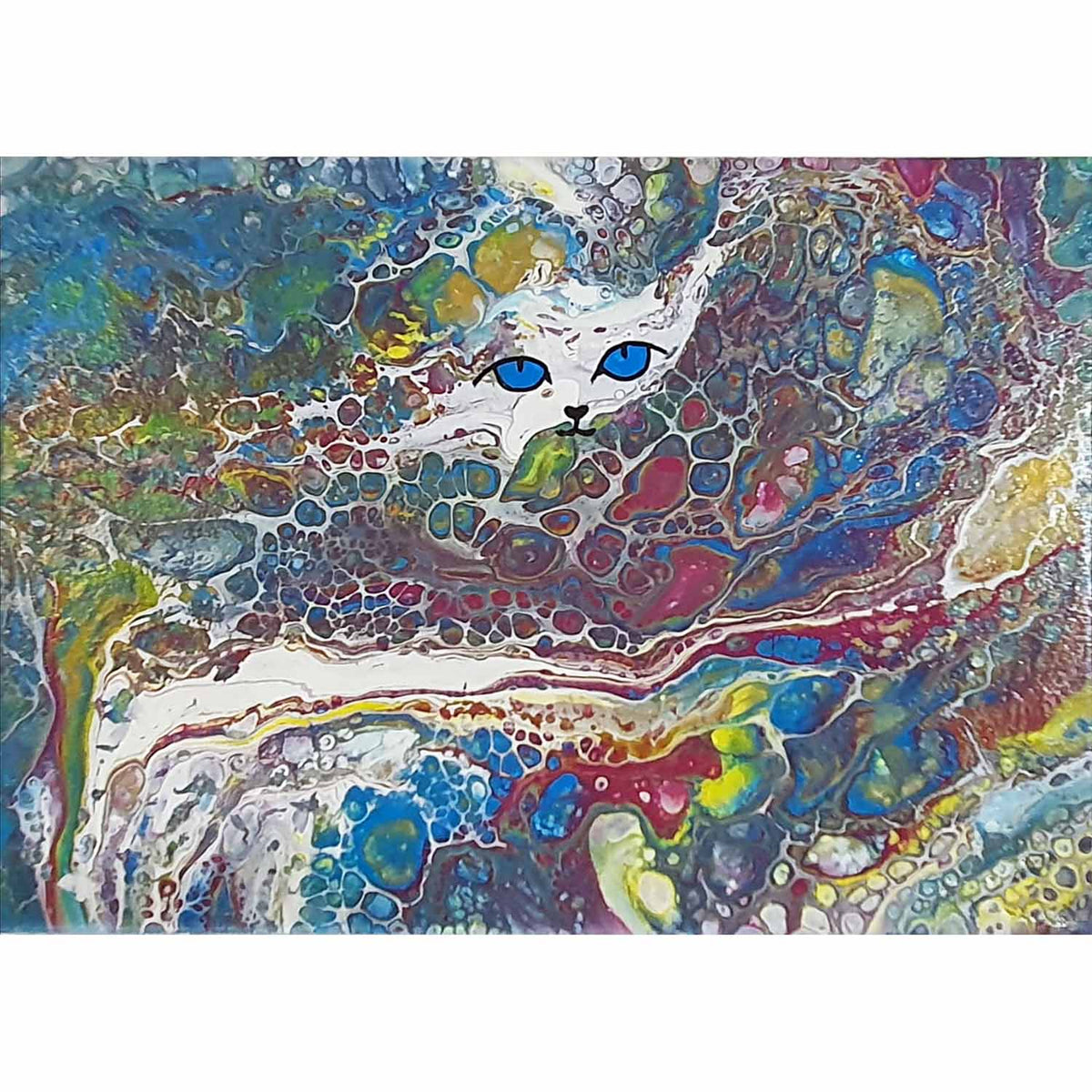 White Cat – Monda Gallery