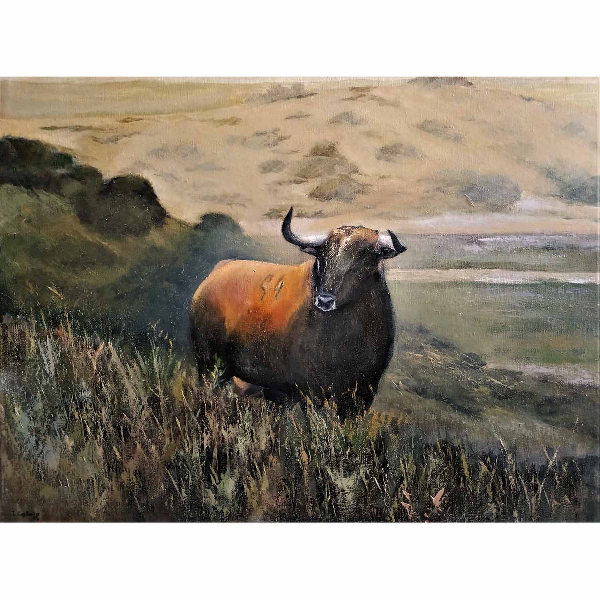 Brave Bull in Freedom – Monda Gallery
